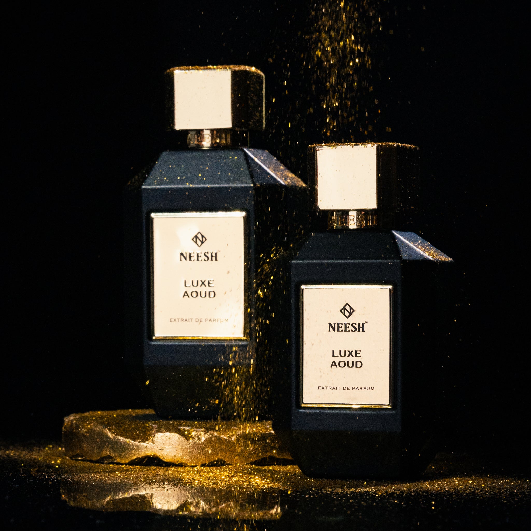 NEESH Luxe Aoud Perfume | Extrait de Parfum | For Men